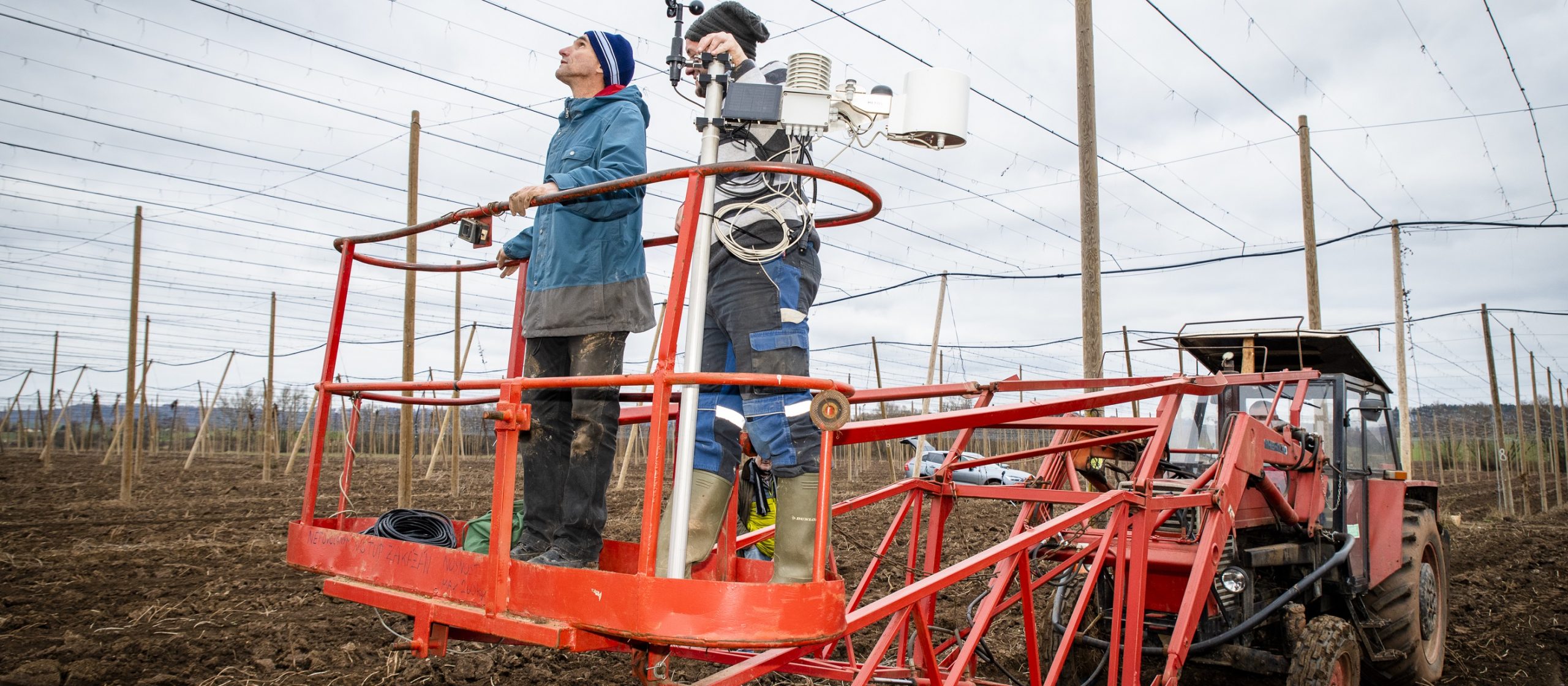 Projekt PRO CHMEL startuje: experti osázeli chmelnice senzory, které ...